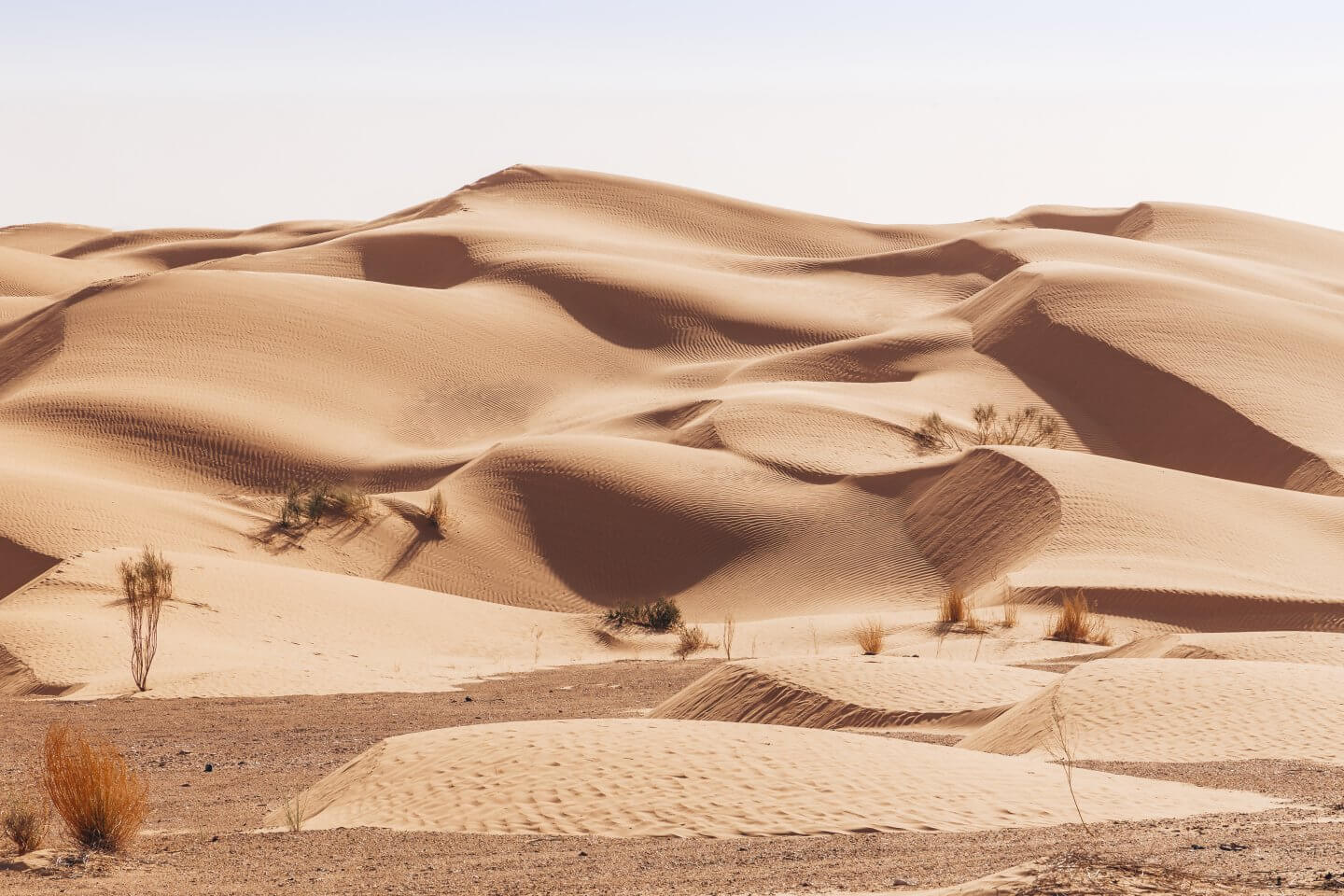 Von Douz nach Tembaine - die 4x4 Tour für Abenteurer • THE TRAVELY