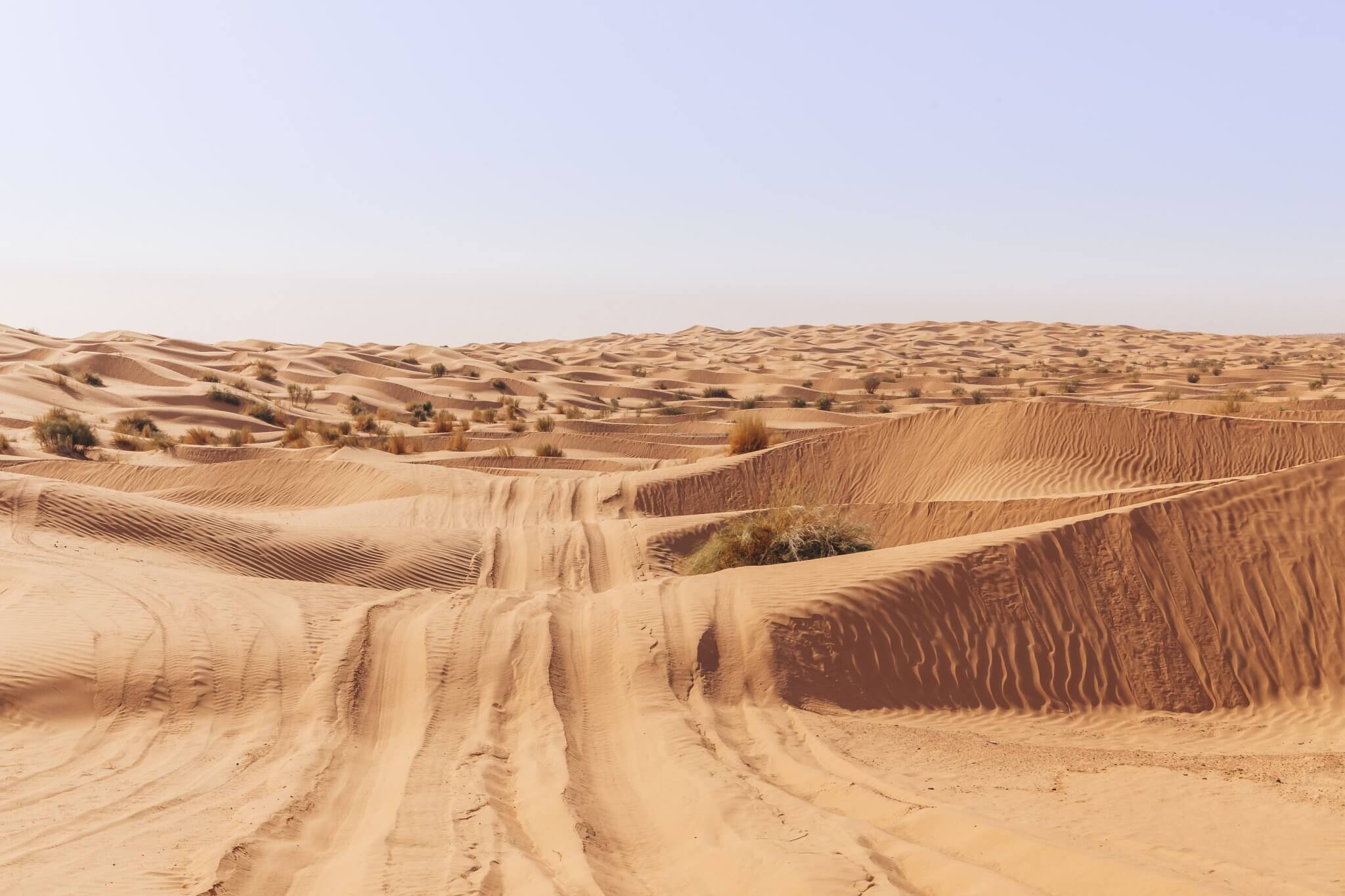 Ksar Ghilane - Tunesiens bekannteste Oase • THE TRAVELY
