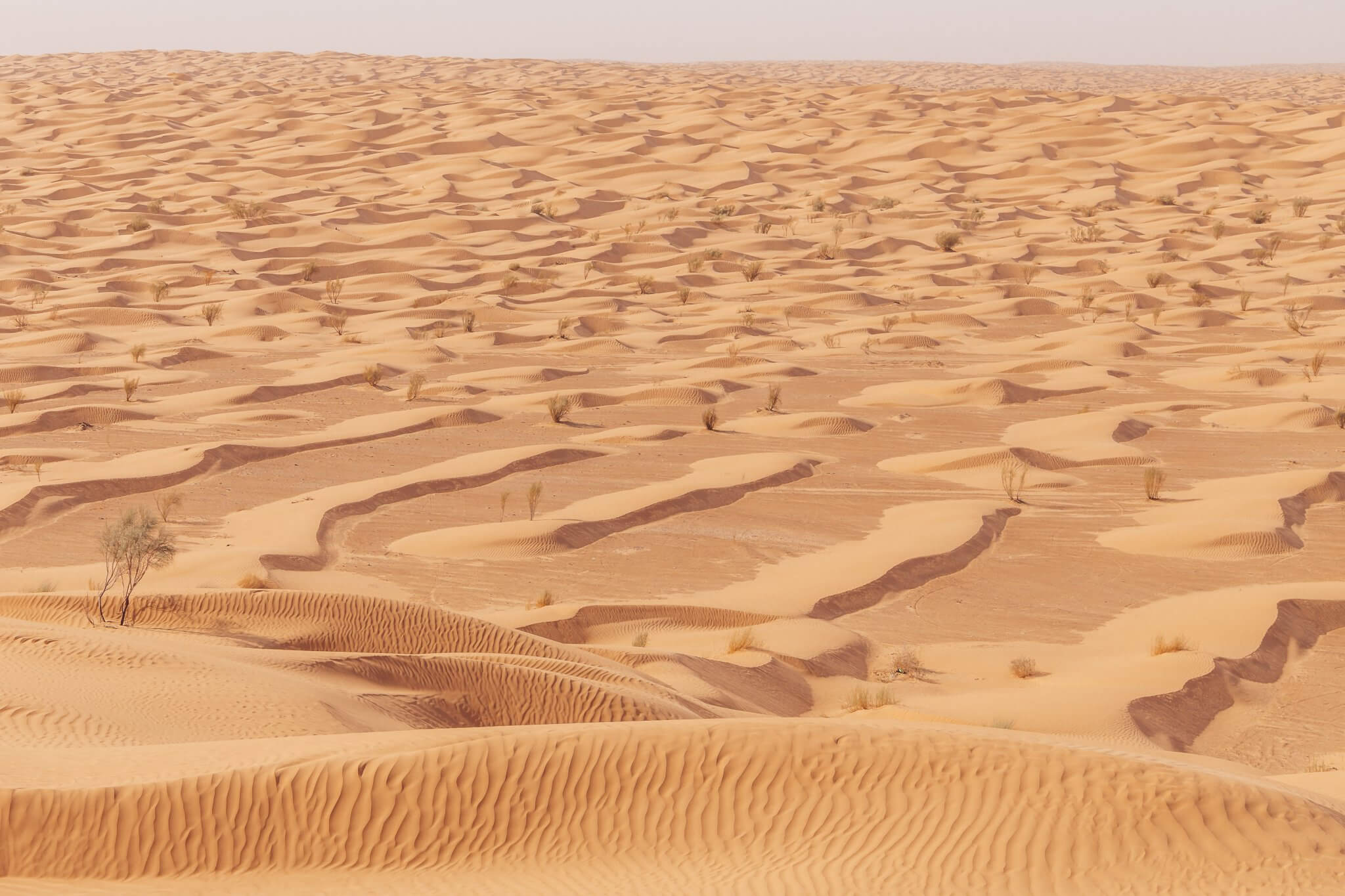 Von Douz nach Tembaine - die 4x4 Tour für Abenteurer • THE TRAVELY