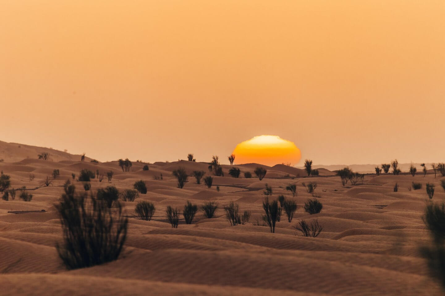 Ksar Ghilane - Tunesiens bekannteste Oase • THE TRAVELY